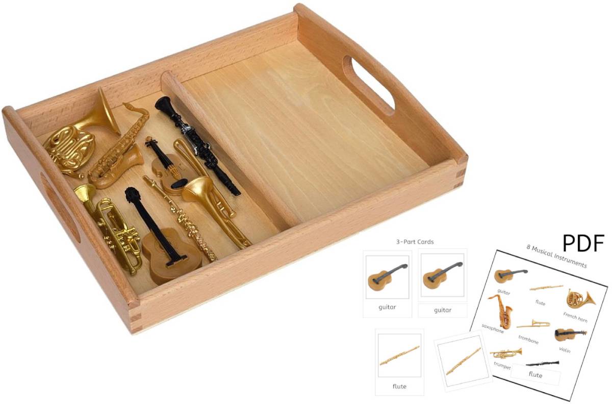 8 Musical Instrument Models with 2-Compartment Tray and PDF Cards ...