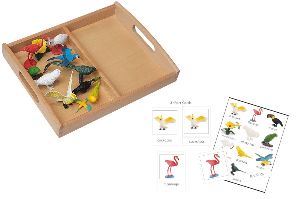 Plastic Figure Two-Compartment Tray Set (PDF Cards) – IFIT Montessori